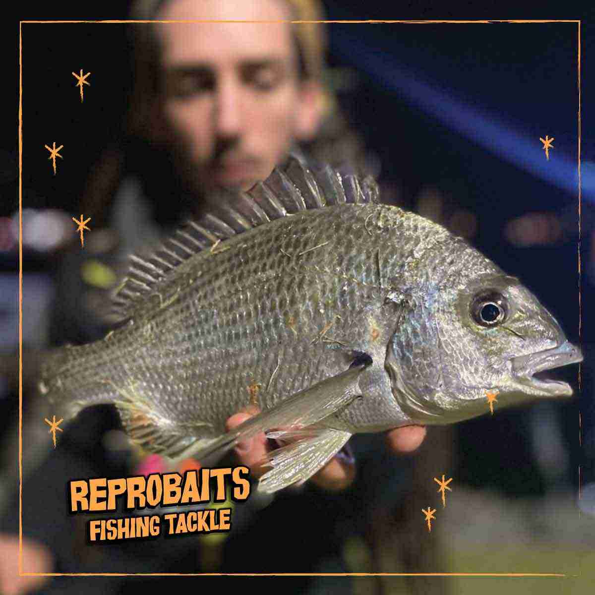 Chasing the Elusive Bream: A Young Angler's Guide to Mastering Bream F ...