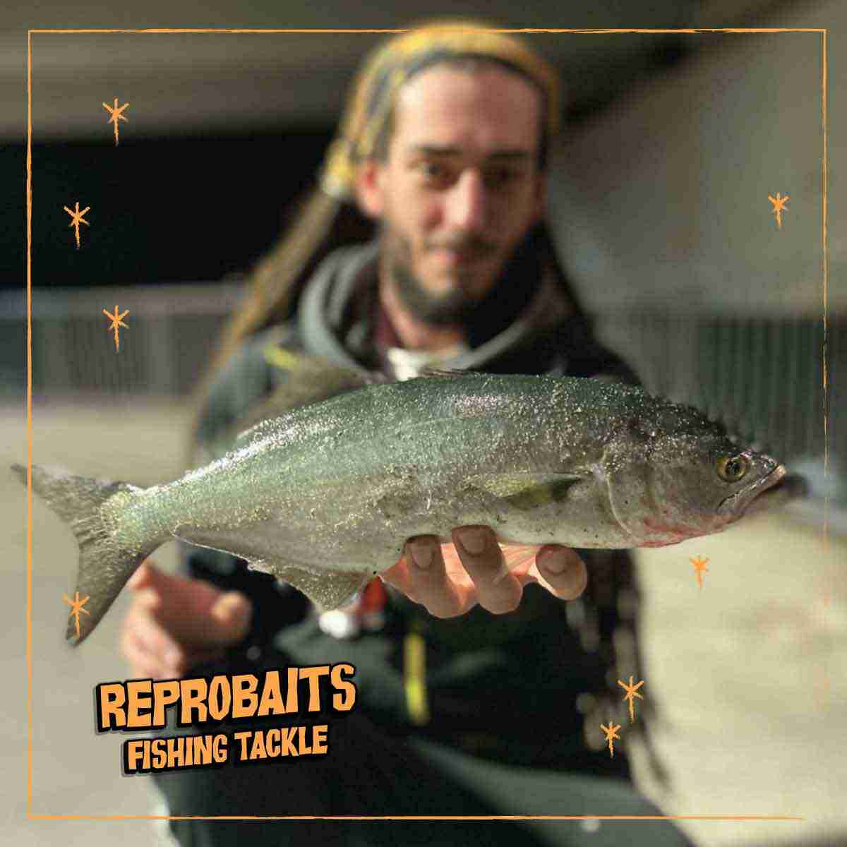 How to Grill Tailor Fish – Australian BBQ Recipe for Perfect Flavour ...