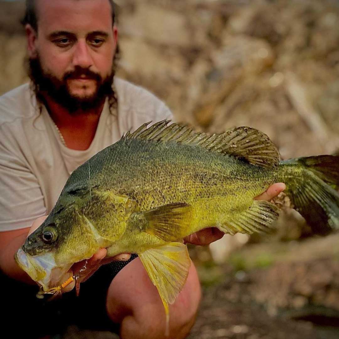 Mastering the Art of Drag Setting: A Fisho's Guide to Surf Fishing Suc ...