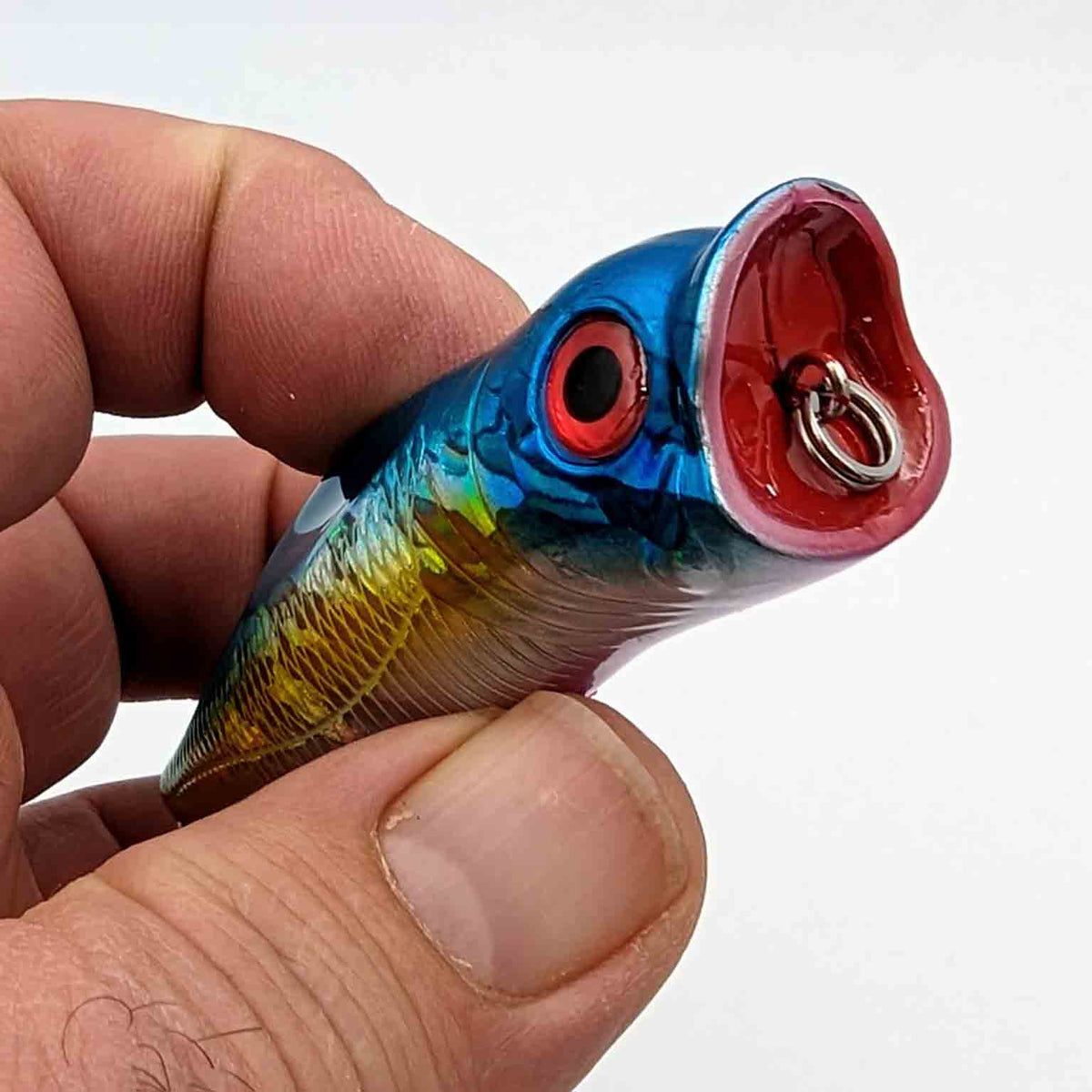 Murray Cod — ReproBaits Tackle